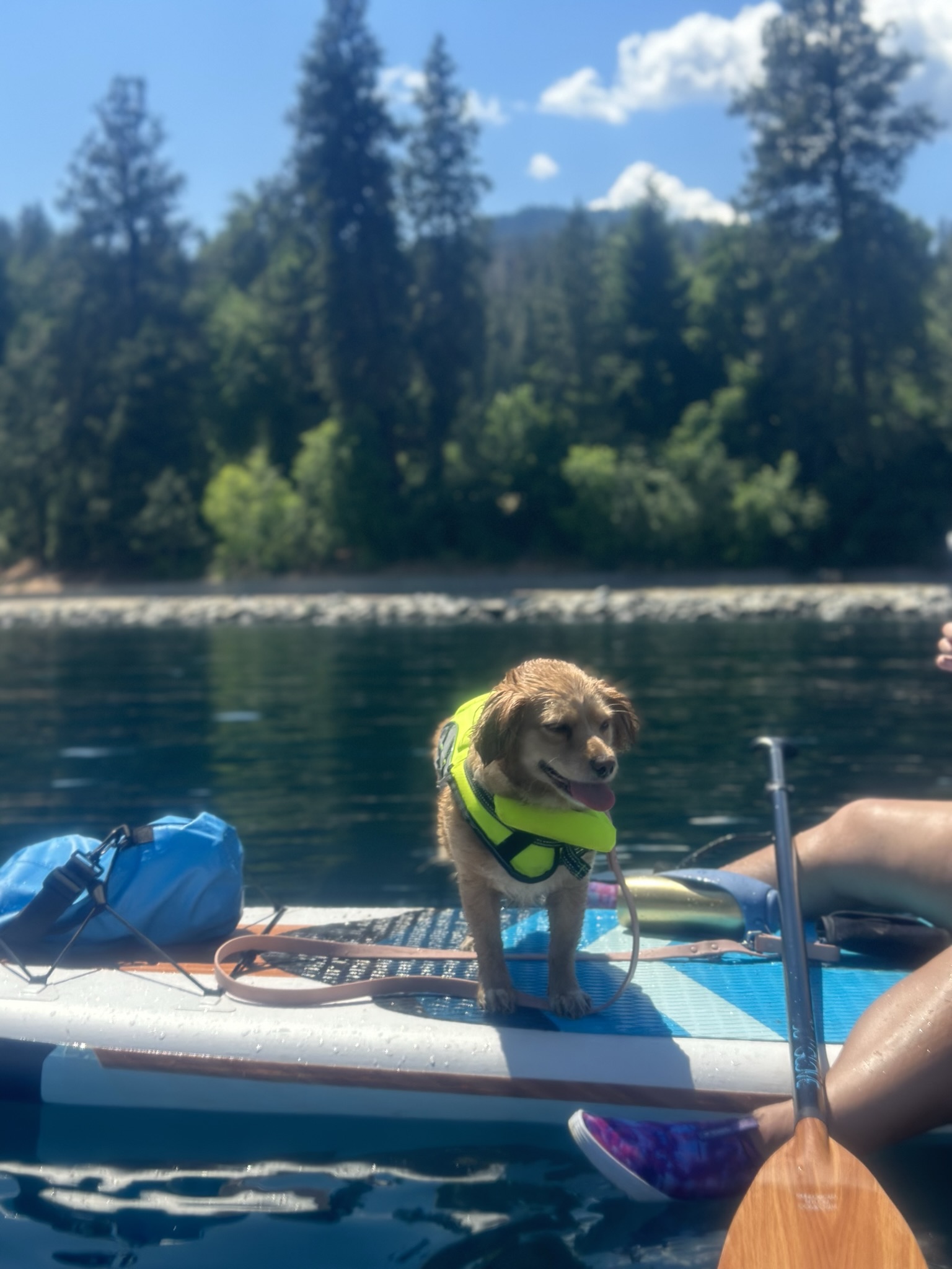 First | Minimal theme